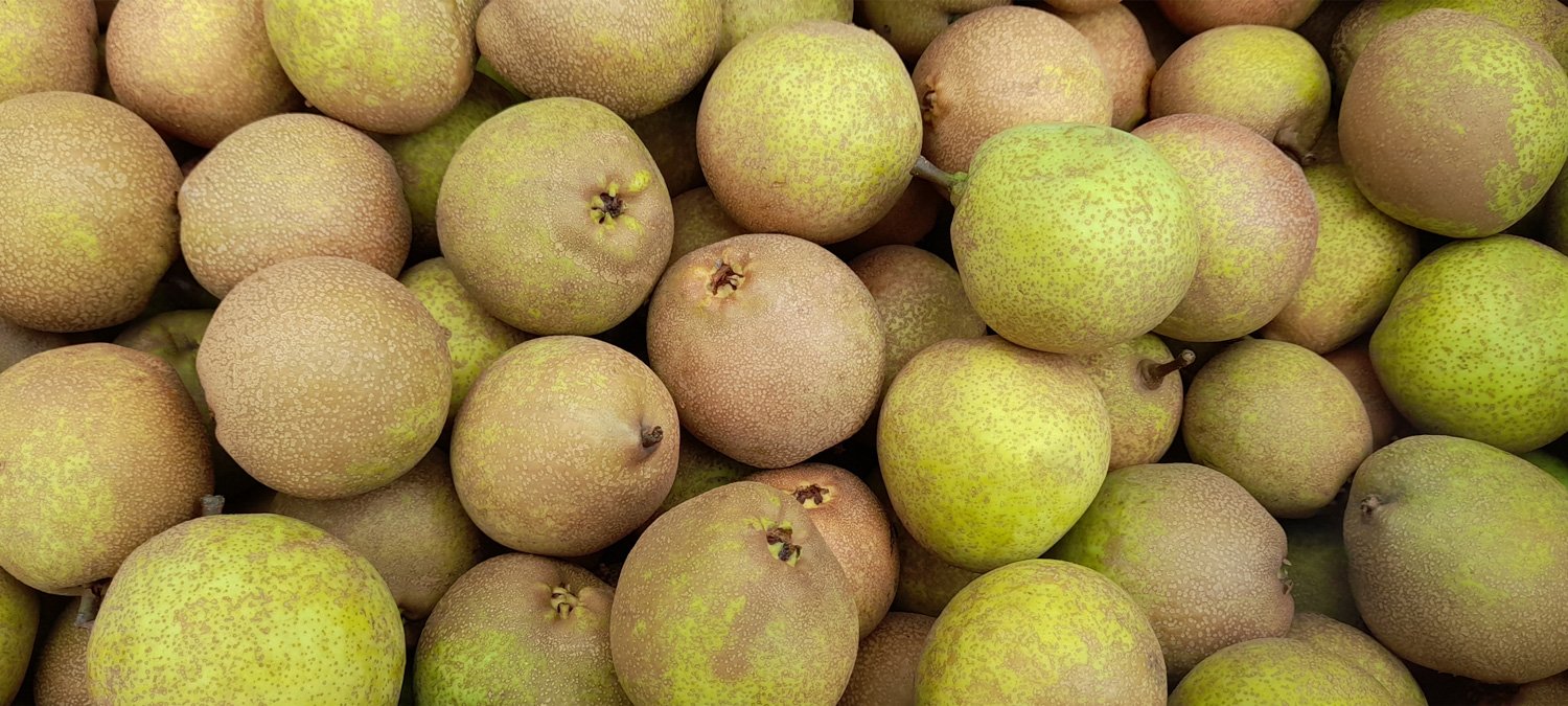 ASOCOLFRUVER – Just another WordPress site